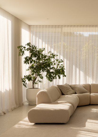 5 Houseplant Humidity Myths Debunked By Plant Experts | Livingetc