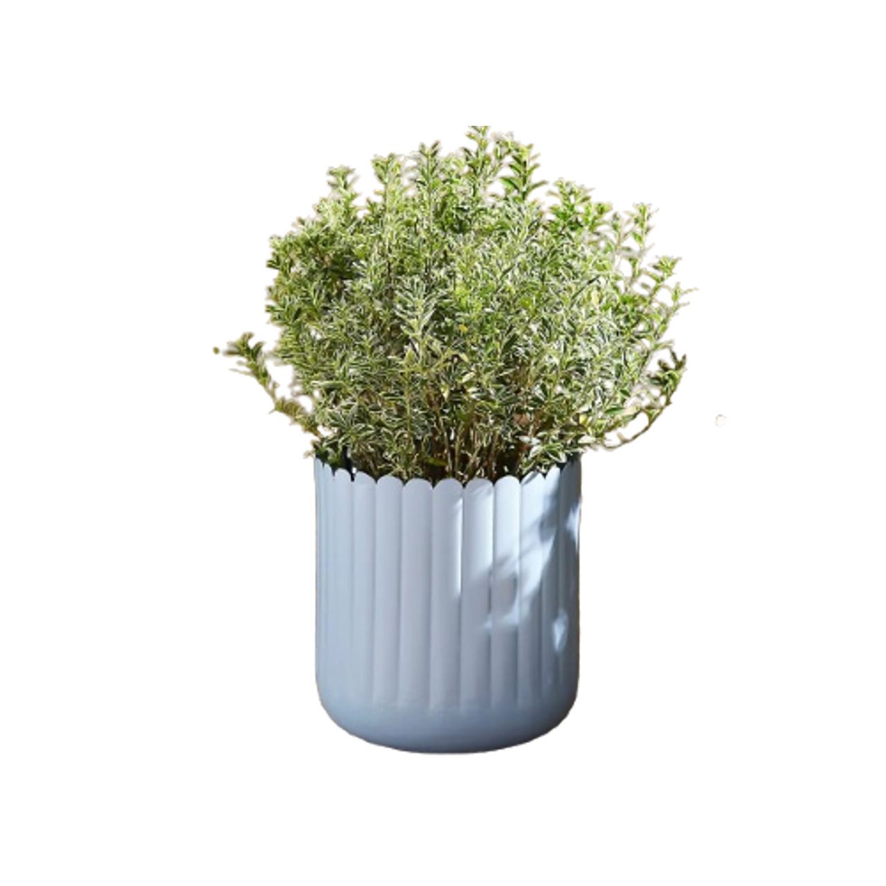 Scalloped plant pots are the cutest trend of this spring | Ideal Home