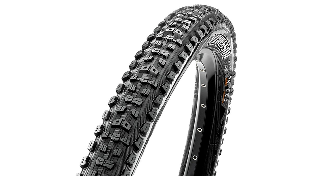 Maxxis MTB tire guide | Bike Perfect