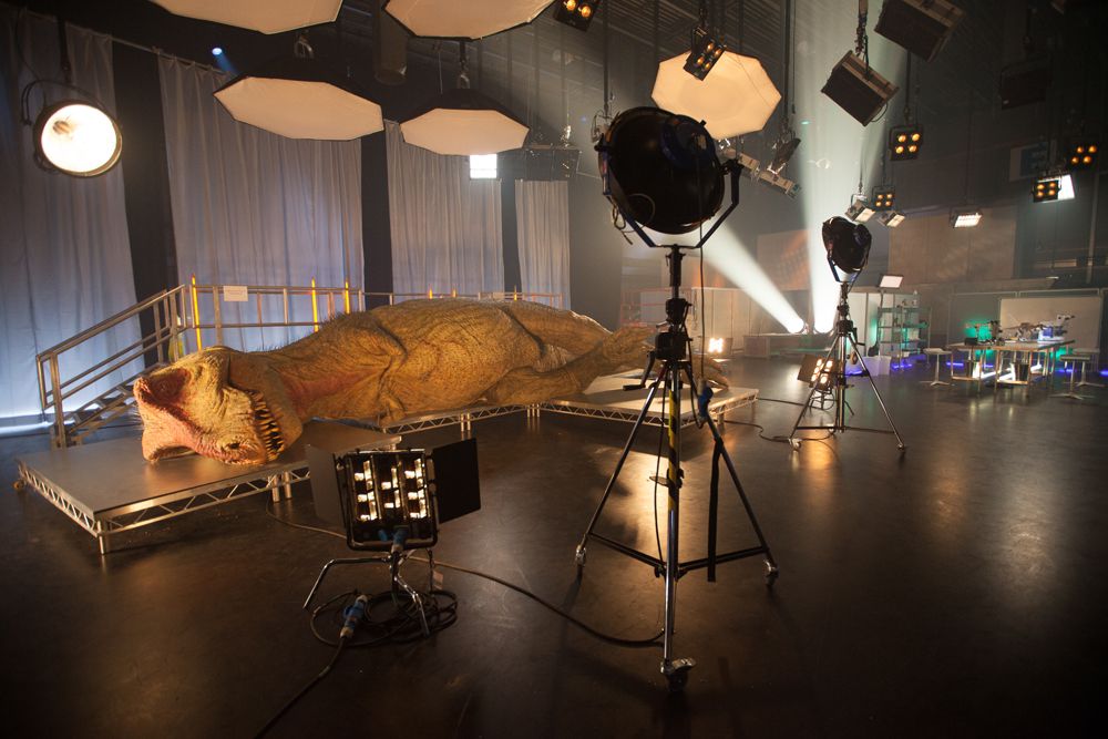 Gory Guts: Photos of a T. Rex Autopsy | Live Science