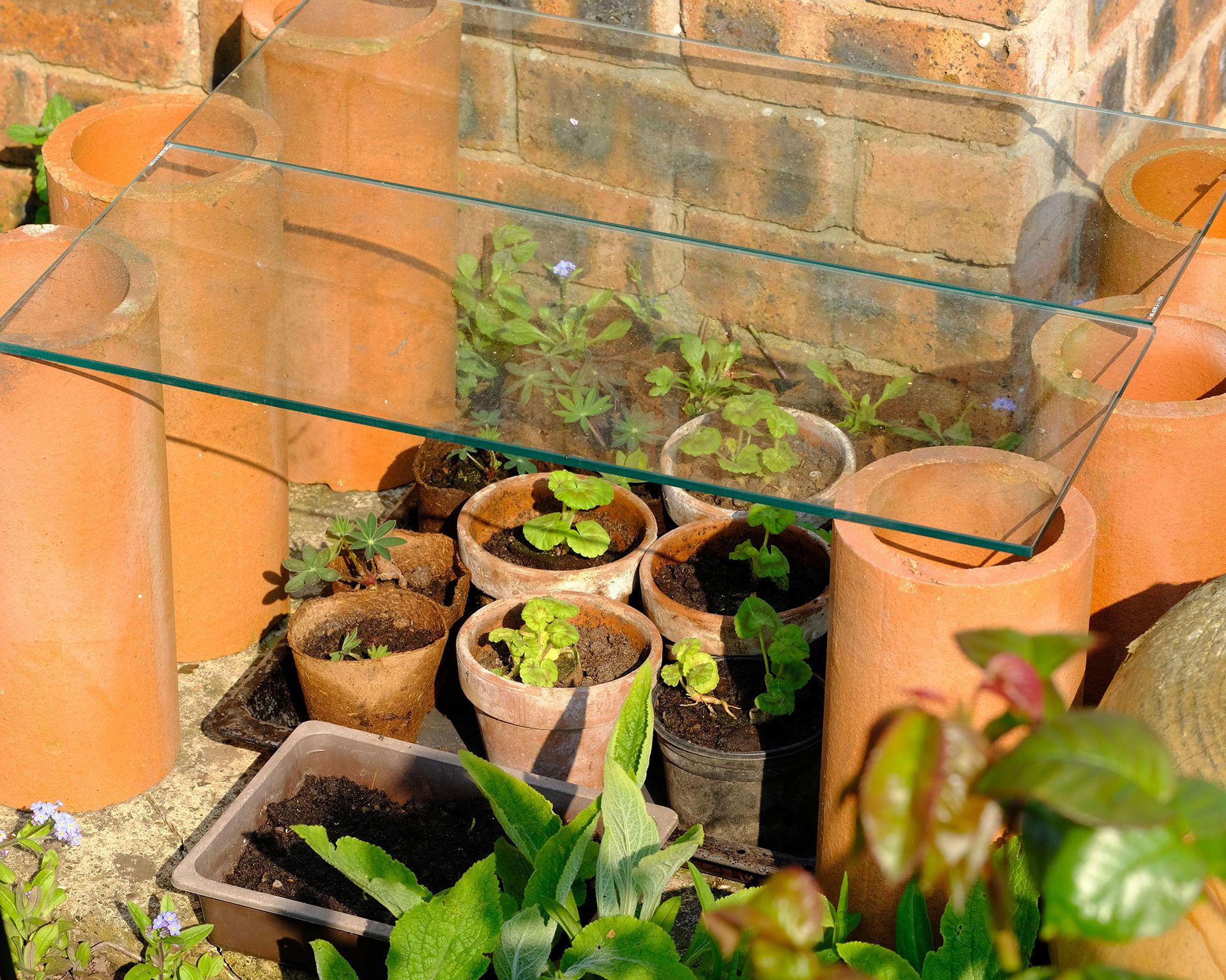 13 DIY mini greenhouses you can make yourself | Gardeningetc