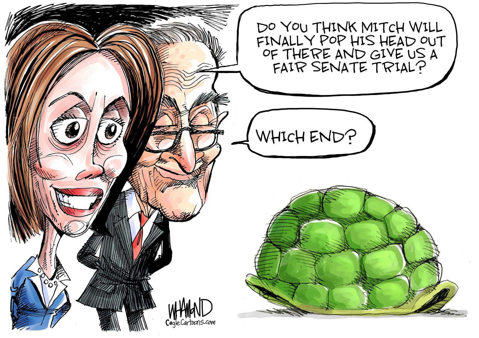 Political Cartoon U.S. Pelosi Schumer Mitch Turtle Shell Hiding Trump ...