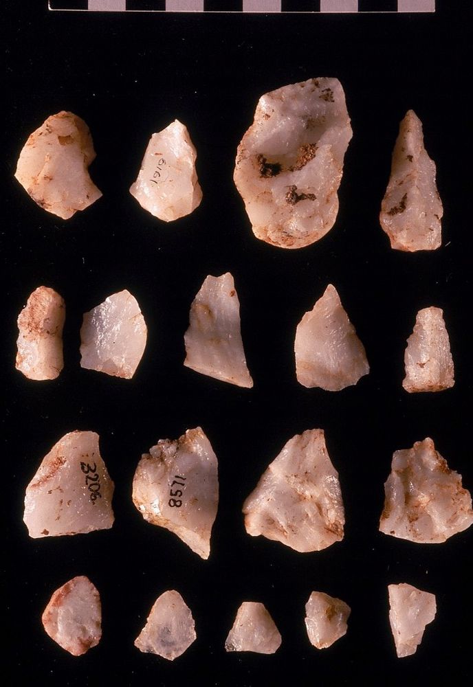 In Photos: 'Little Foot' Human Ancestor Walked With Lucy | Live Science