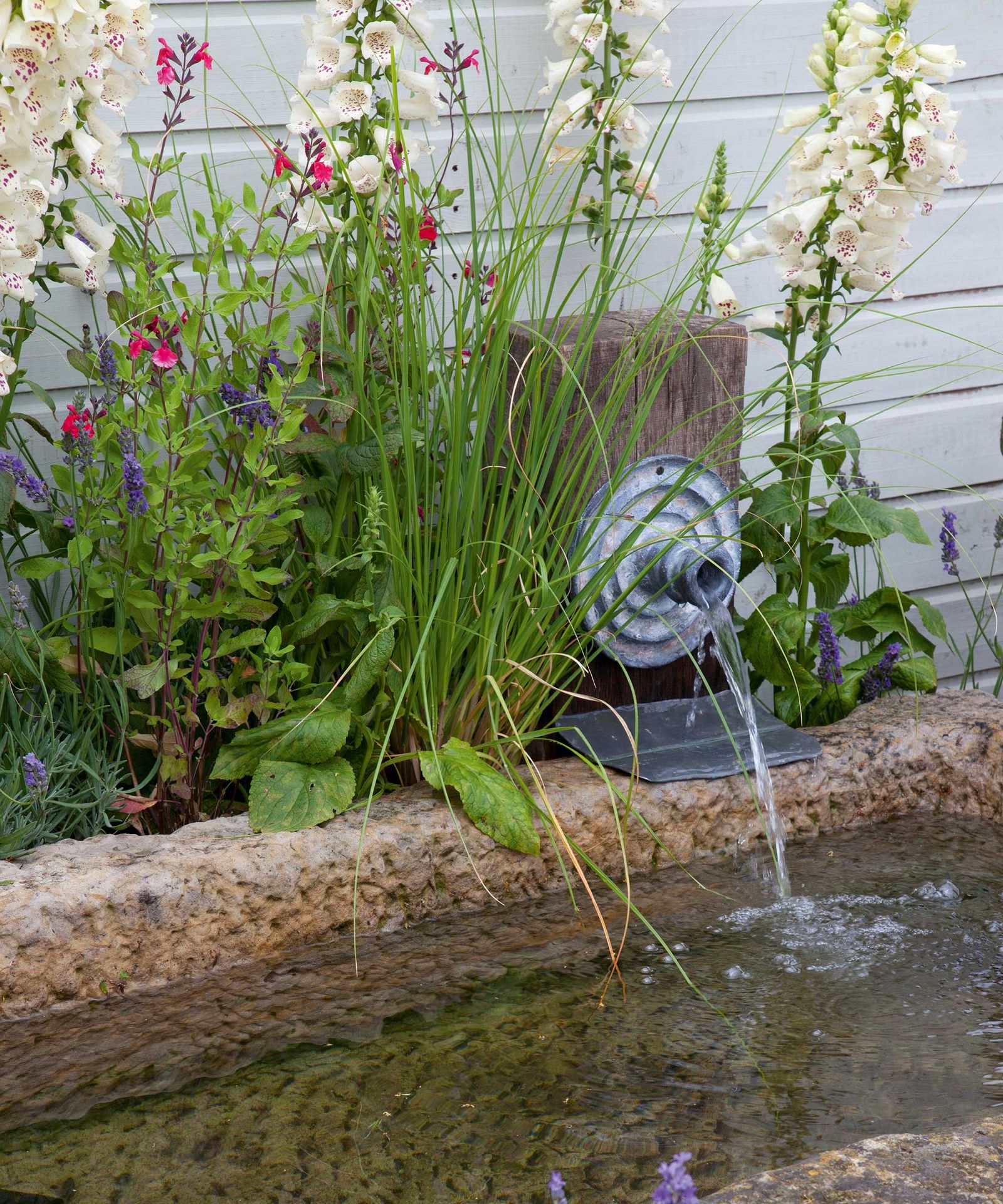 How to keep a water feature clean: easy tips for sparkling results ...