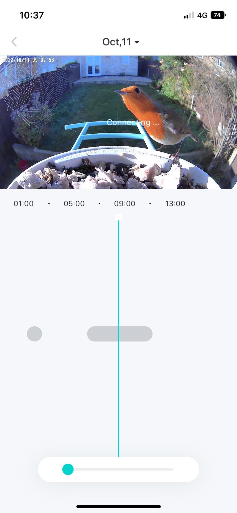 Netvue Birdfy Smart Bird Feeder Camera review: birdwatching from your ...