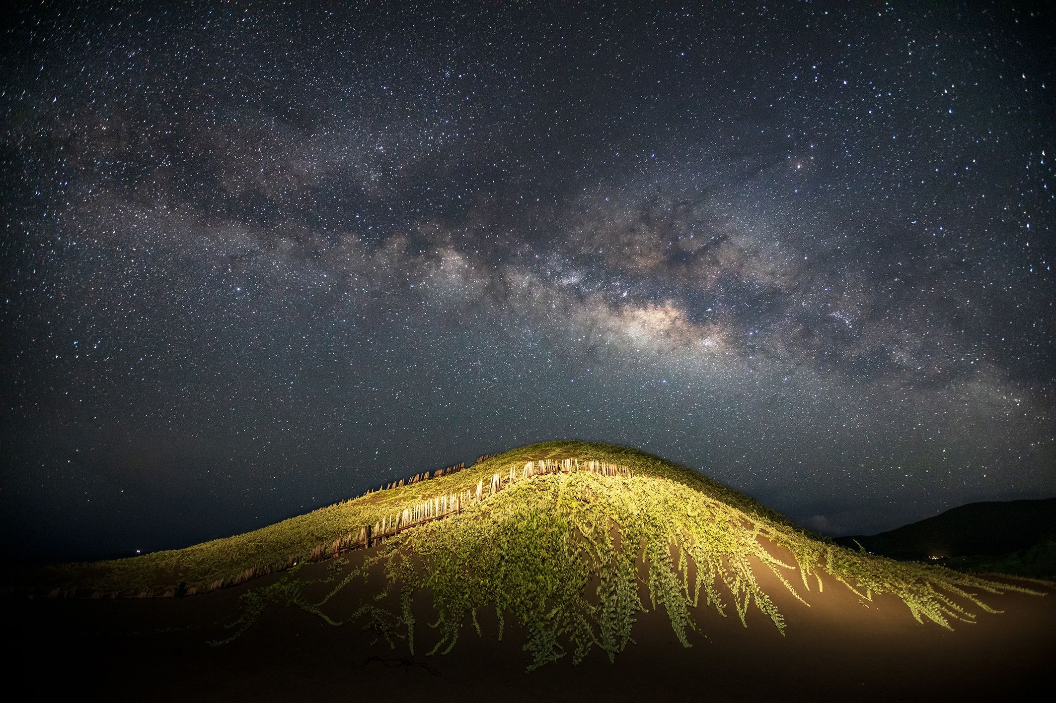 Shot with an old Canon 5D Mark III DSLR, this photo captures an ...