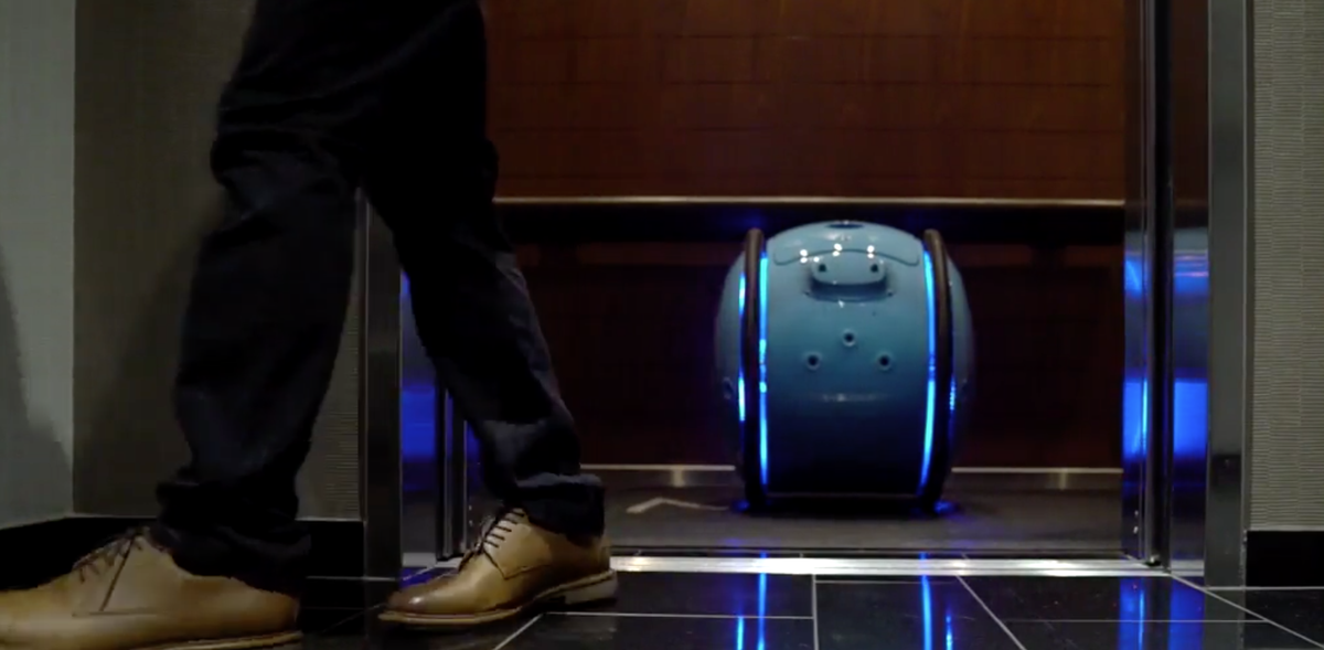 This robot will carry your stuff around for you | The Week
