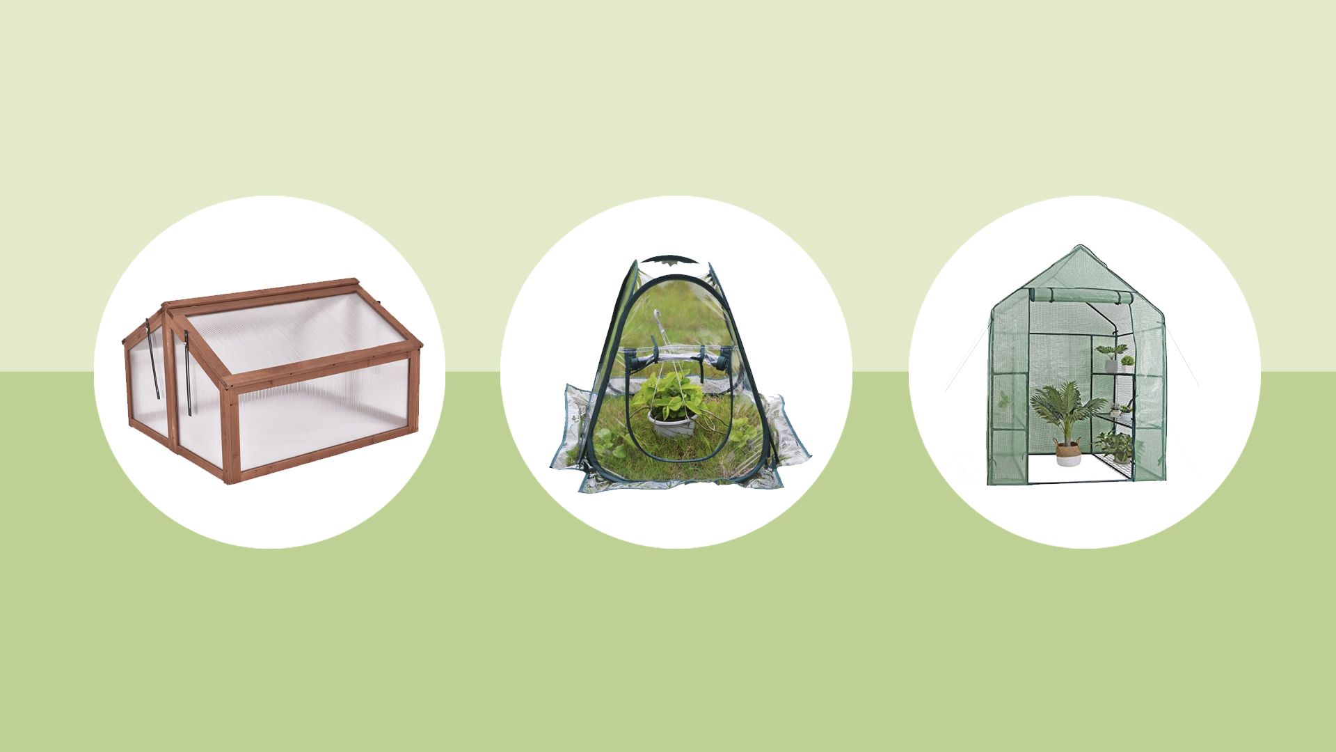 7 mini greenhouses to help shield your plants from the weather ...