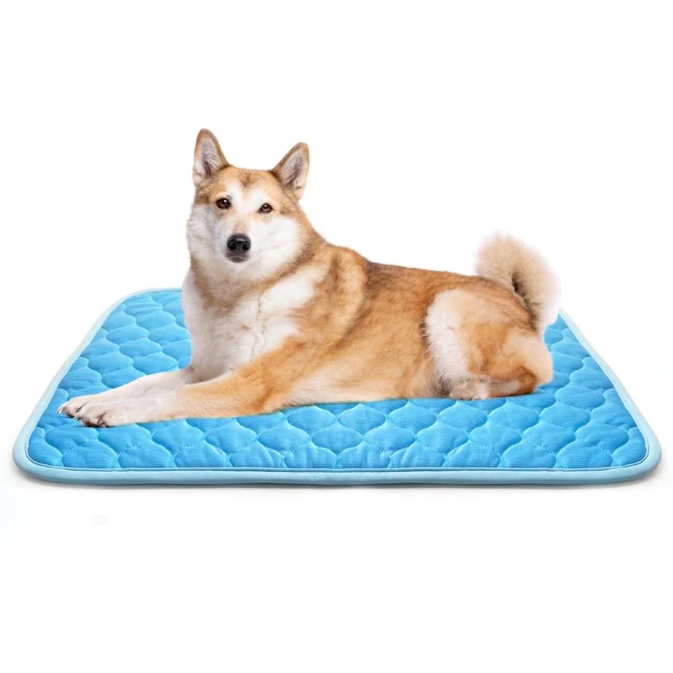Best cooling mats for dogs 2024: Self-cooling mats, pads and beds ...