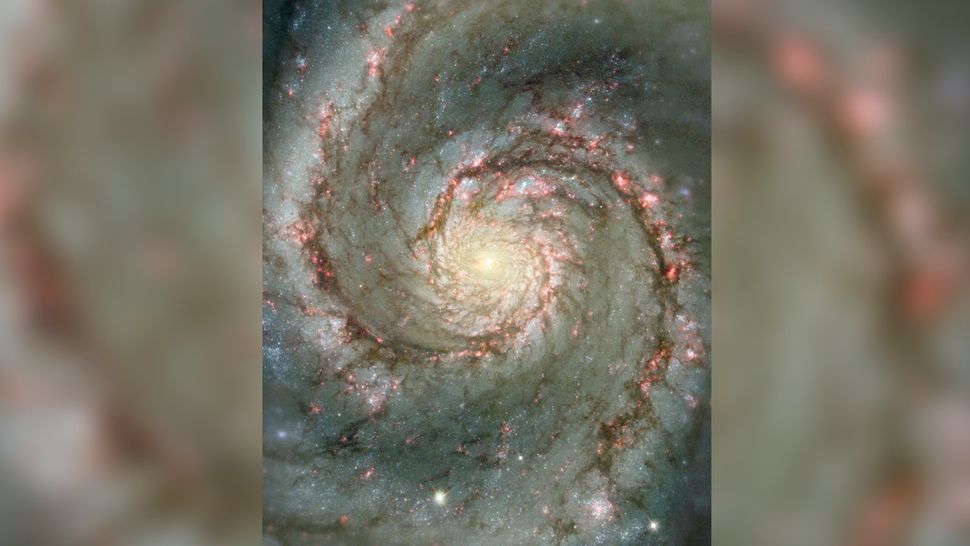 10 Amazing Exoplanet Discoveries | Space