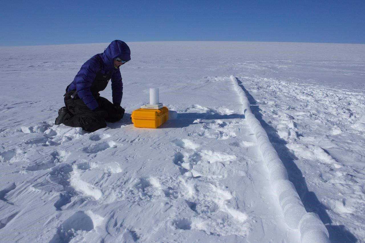 Ancient Arctic Ice Cores Damaged in University's Freezer Meltdown ...