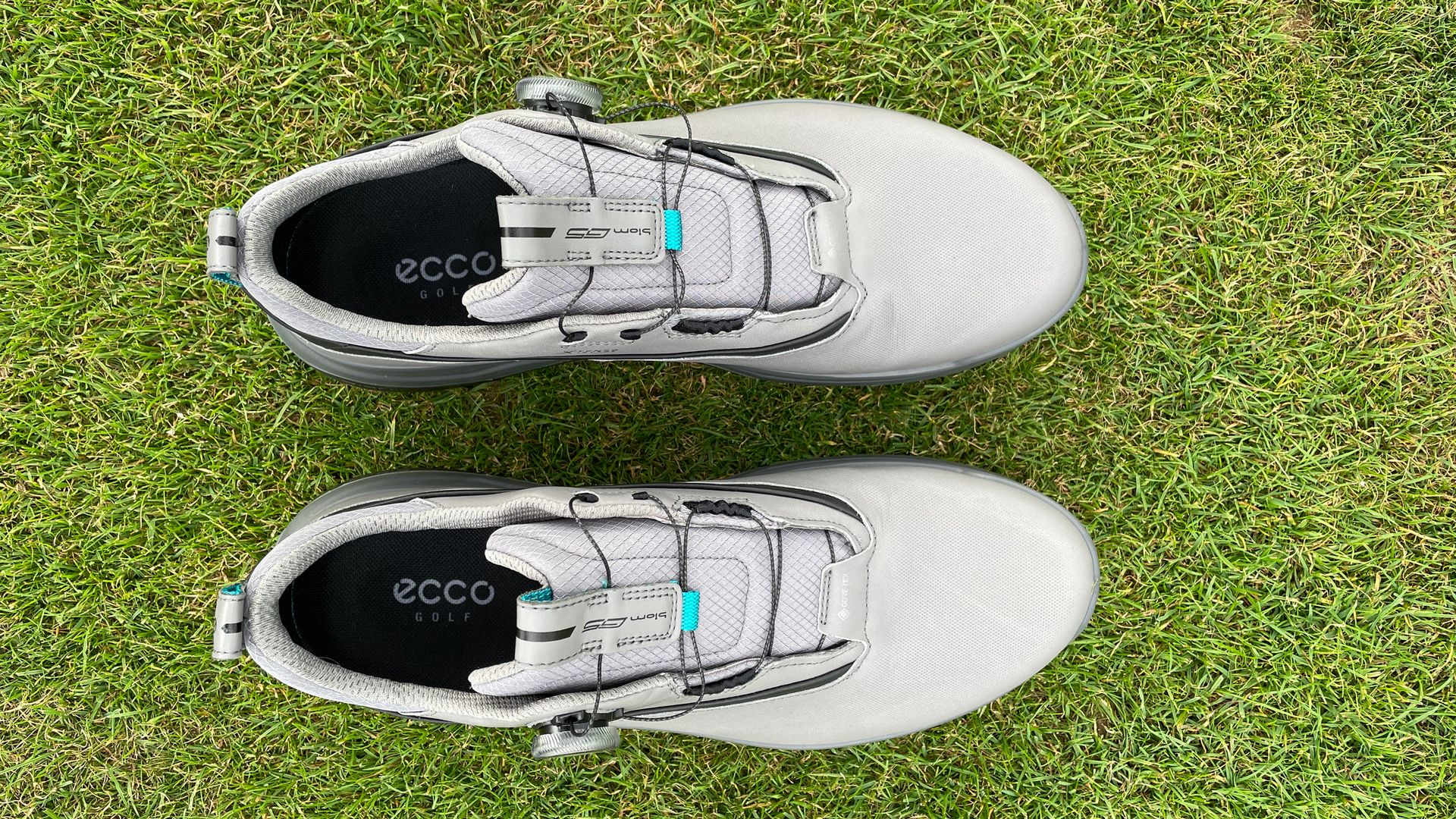 Ecco Biom G5 Shoe Review | Golf Monthly