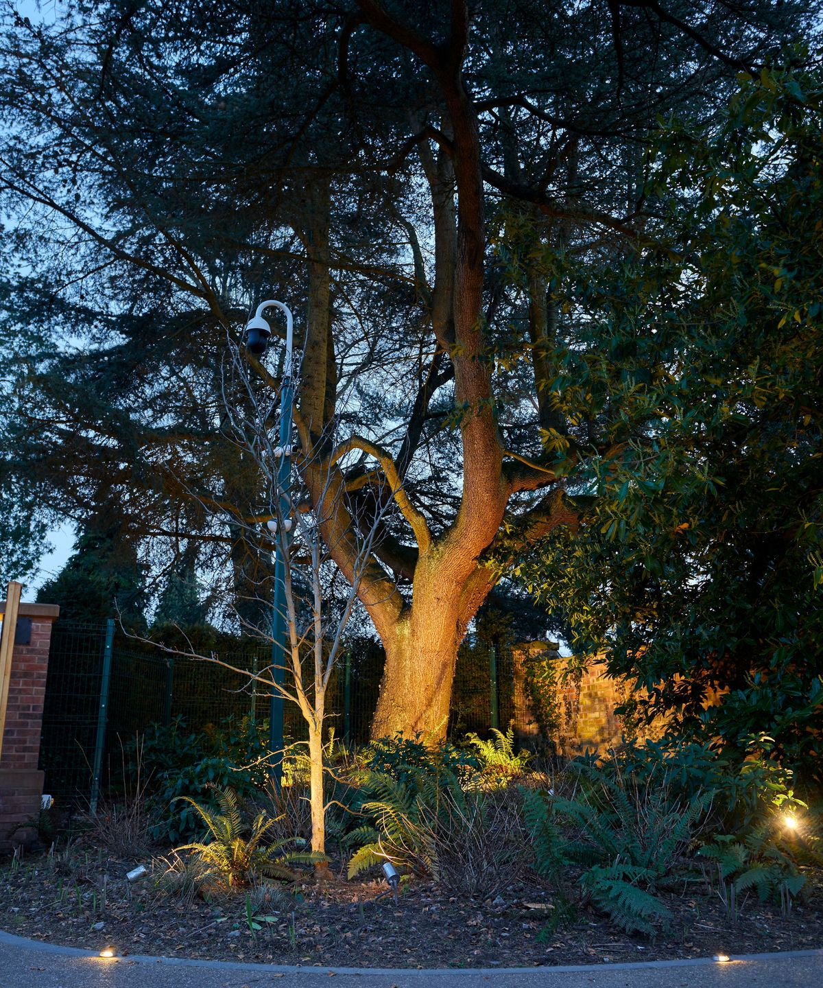Landscape lighting techniques: 8 effective methods to try | Homebuilding