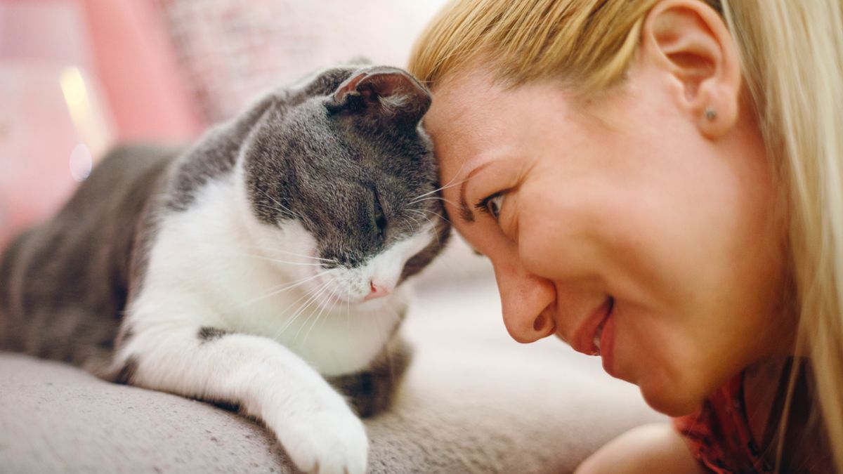 32 of the sweetest ways cats show affection | PetsRadar