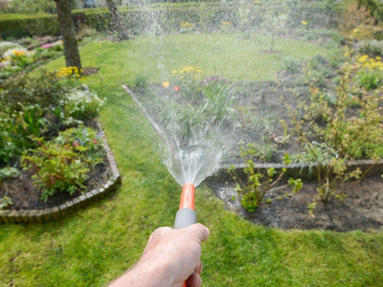 Watering Gardens: Learn How To Water A Garden Effectively | Gardening ...