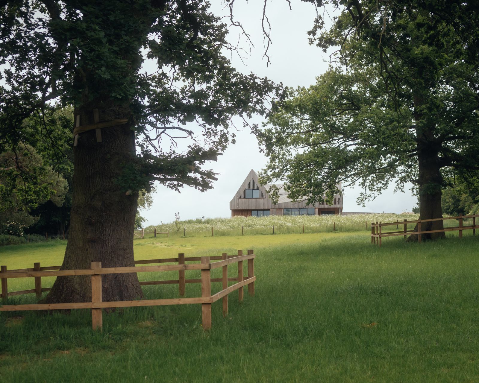 Tour this Suffolk house by Studio Bark | Wallpaper*