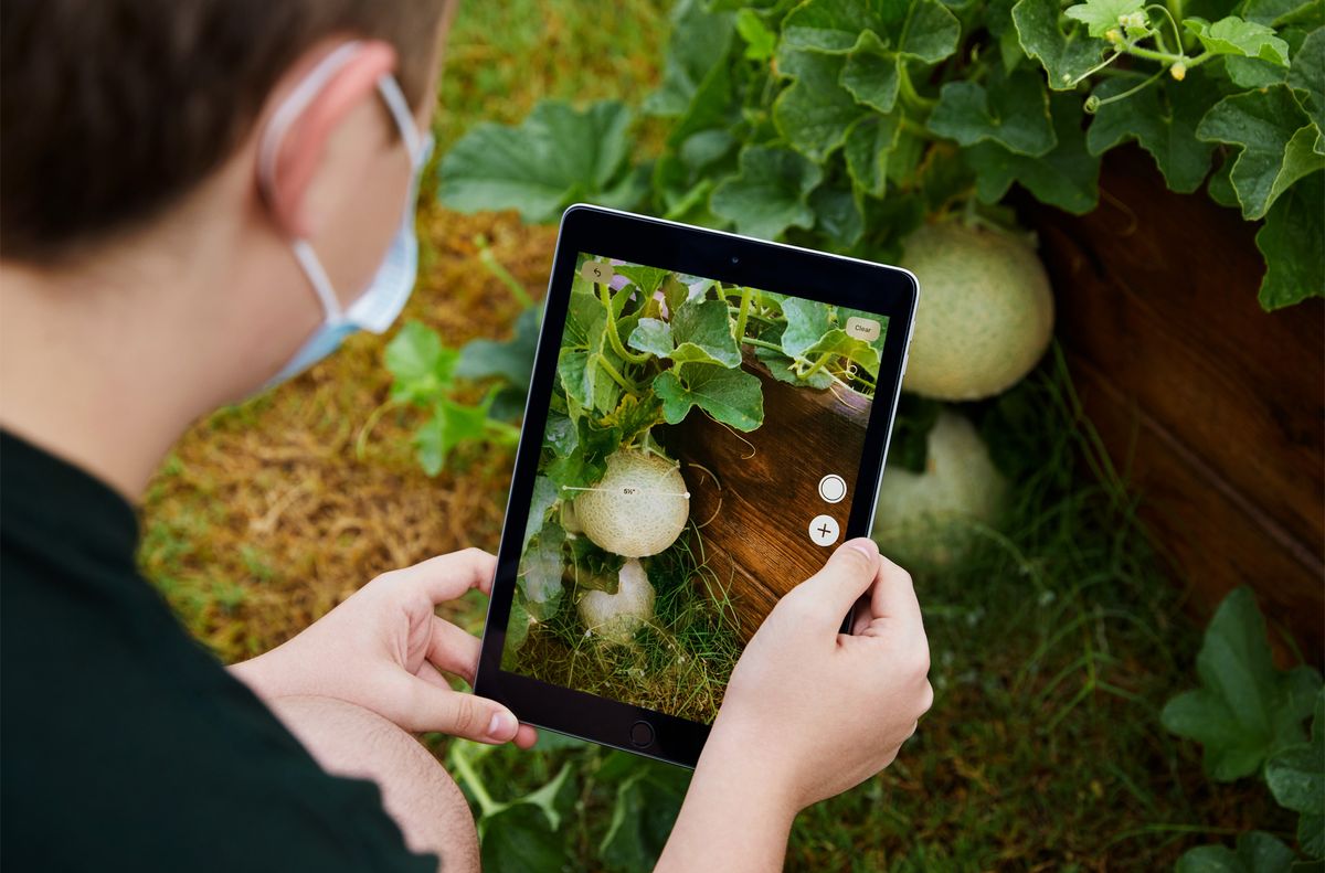 Apple details how teachers bring 'students closer to nature with iPad ...
