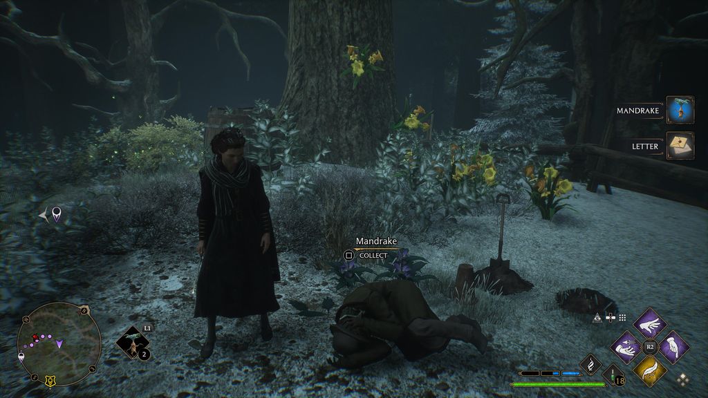 Hogwarts Legacy Mandrakes: how to find them or grow your own | GamesRadar+