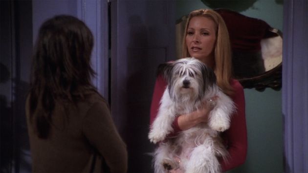 Friends: 25 Animals That Appeared in the Hit NBC Comedy | What to Watch