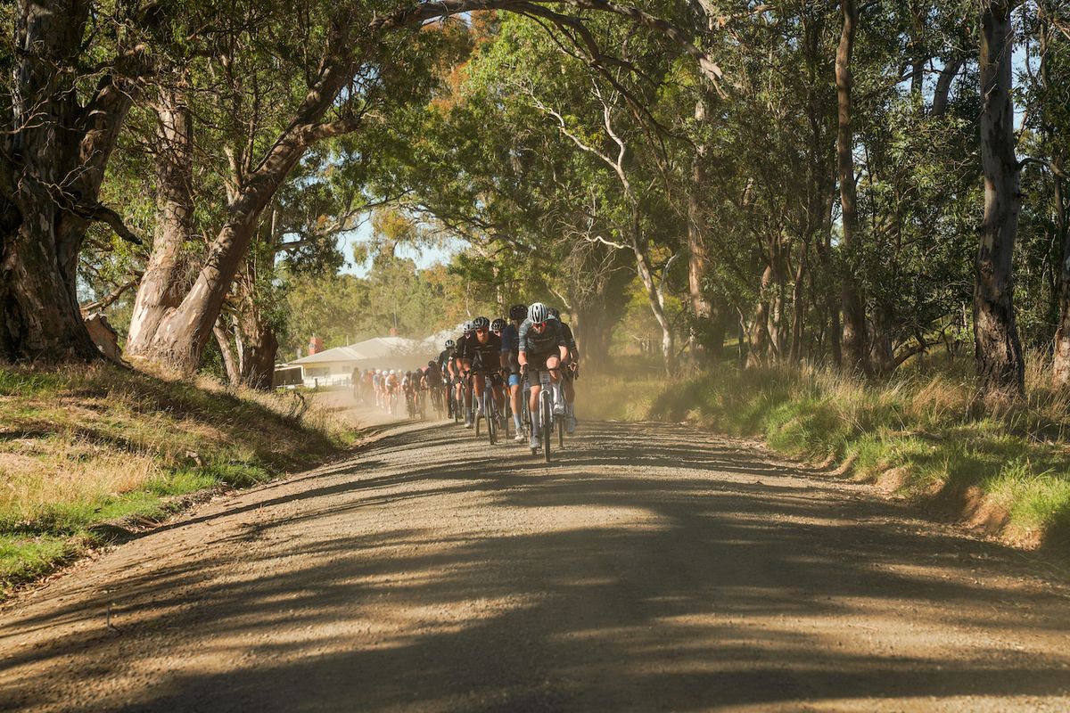 Big hitters, techy sections and tactical triumphs as dust settles on ...