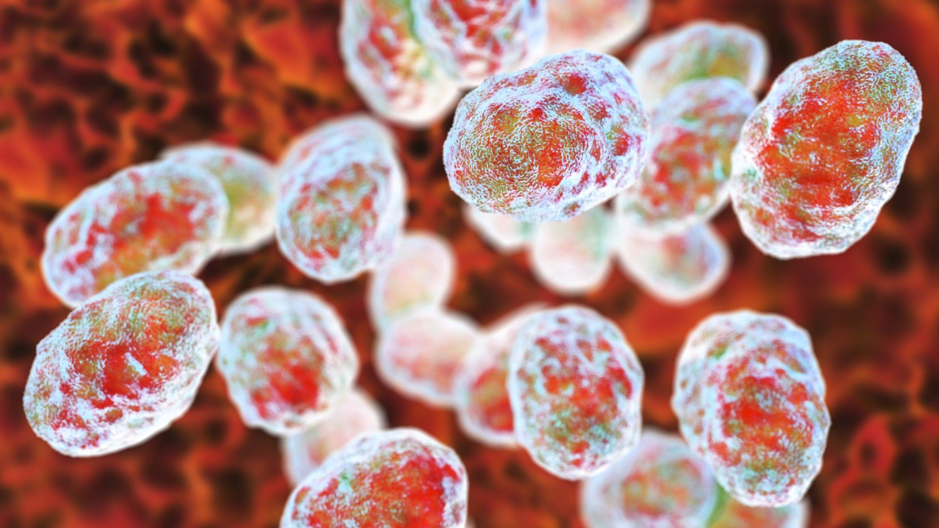 Tularemia: The 'rabbit fever' that can fatally infect humans | Live Science