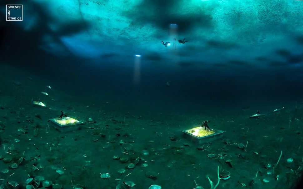 Diving Scientists Report 'Big Changes' Beneath Antarctic Ice Shelf ...