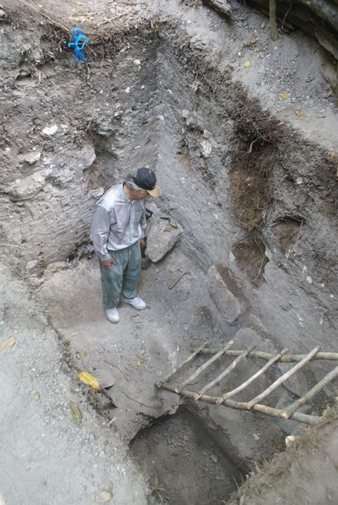 Sustainable Tech Saw Ancient Maya Through Drought | Live Science