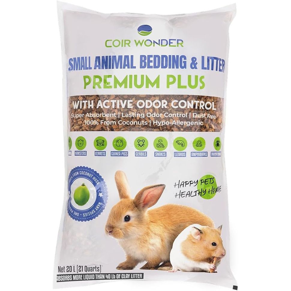 Best litter for rabbits 2025 to make their home cleaner | PetsRadar
