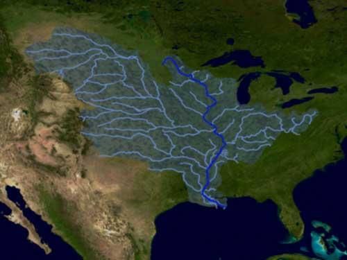 World's Longest Rivers | Amazon, Nile & Mississippi Rivers | Live Science