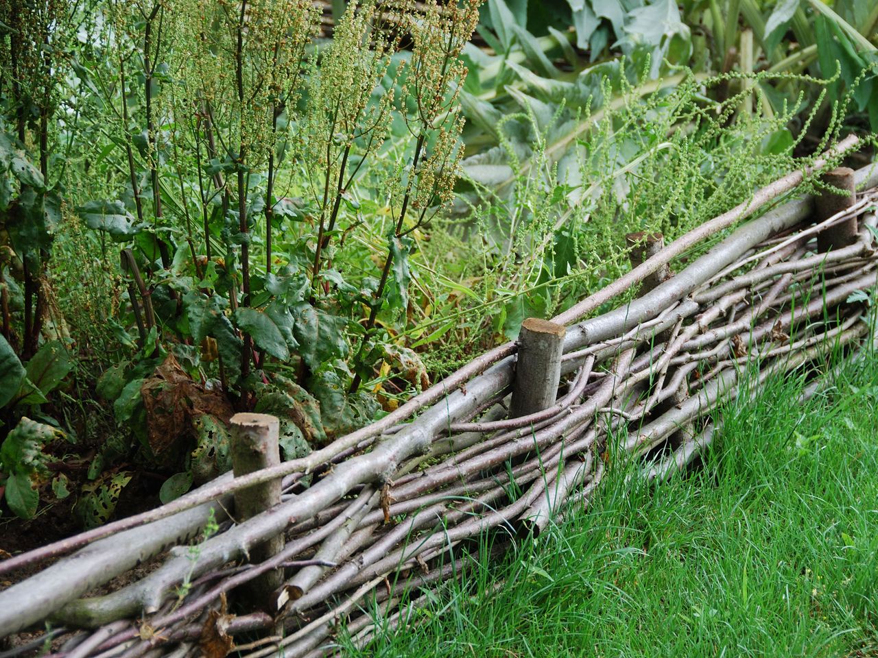 Lawn edging ideas – 10 ways to add a professional touch | Livingetc