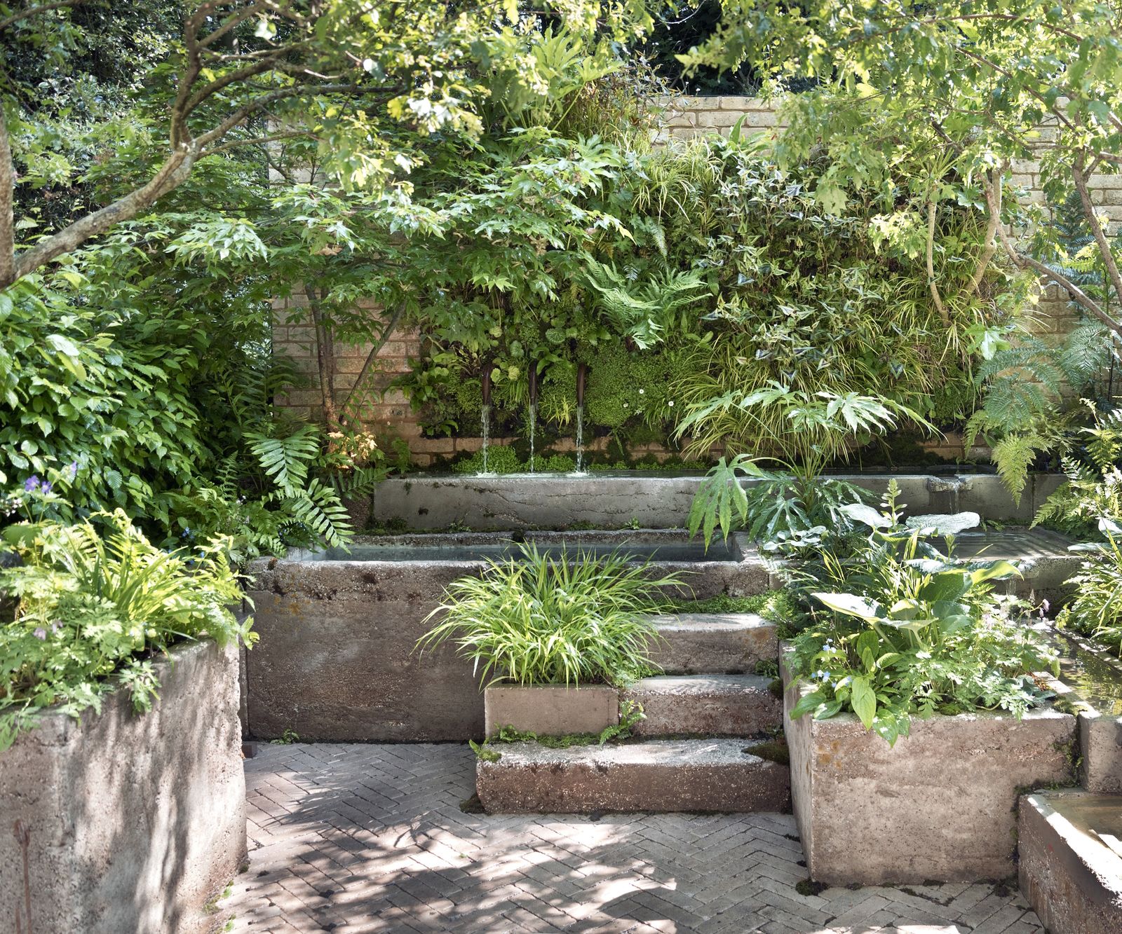 Best flood-resilient plants: experts top suggestions | Homes and Gardens