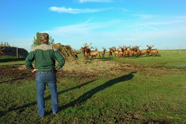 Articles by Sara Goudarzi | Live Science