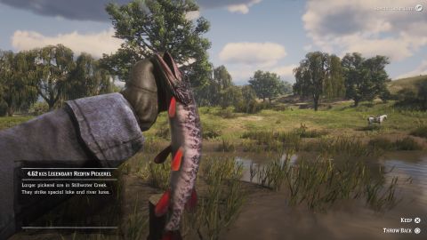Red Dead Redemption 2 Legendary Fish locations | GamesRadar+