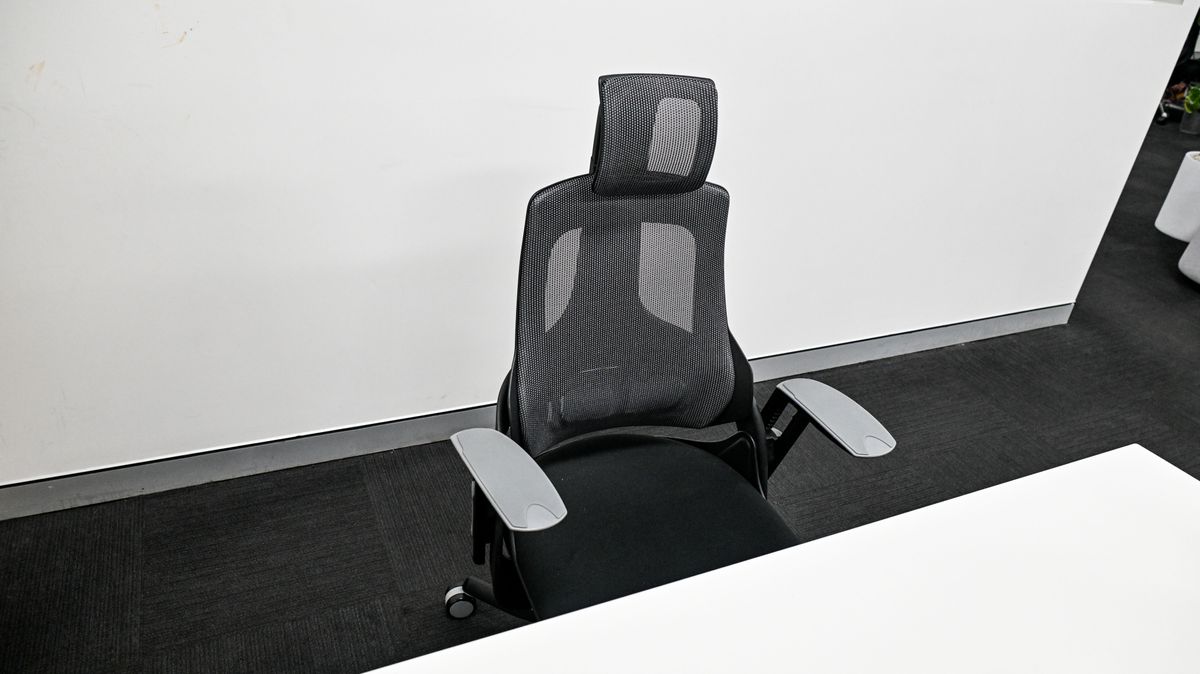 Desky Pro Plus Ergonomic office chair review: no style, all substance ... Desky Pro Plus Ergonomic office chair review: no style, all substance ...