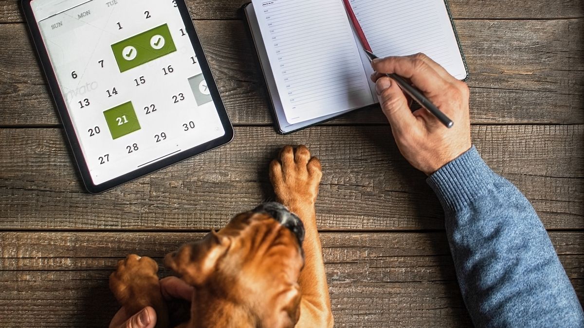 32 ways to be a responsible dog owner | PetsRadar