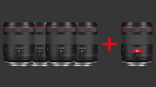 What settings can be changed on your Canon's RF lens control ring ...