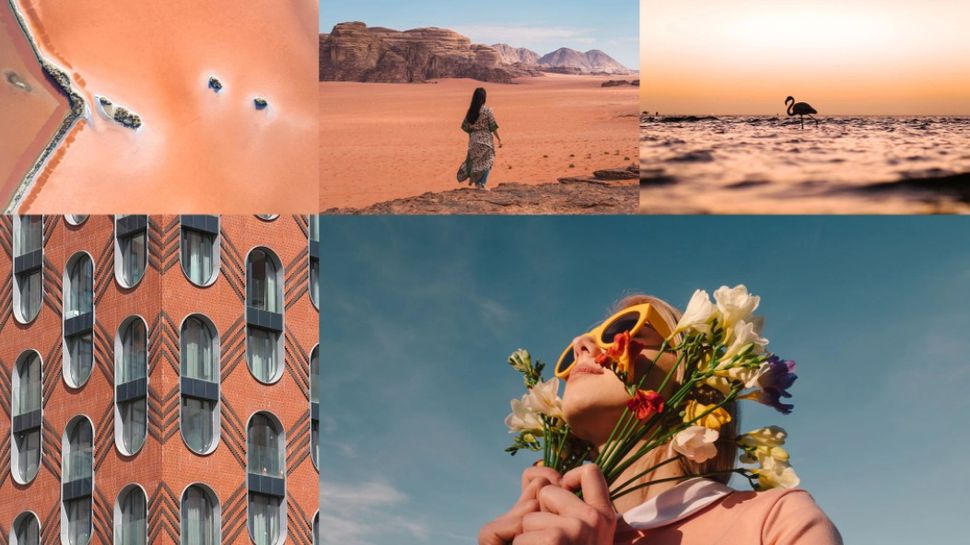 Revealed: the colour that's most likely to engage people online ...