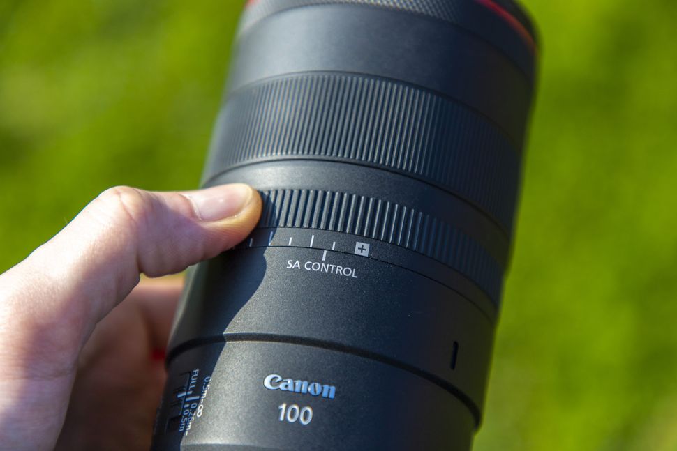 Canon RF 100mm Macro tips – master all the features of Canon's clever ...