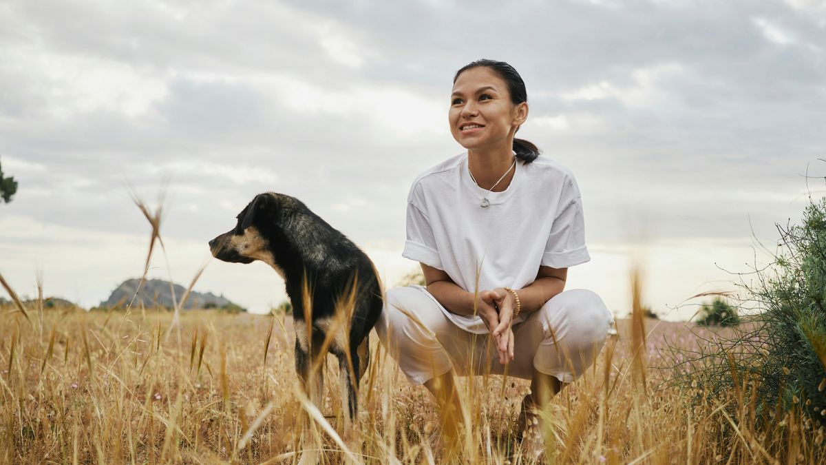 How to greet a dog (the right way), according to a vet | PetsRadar
