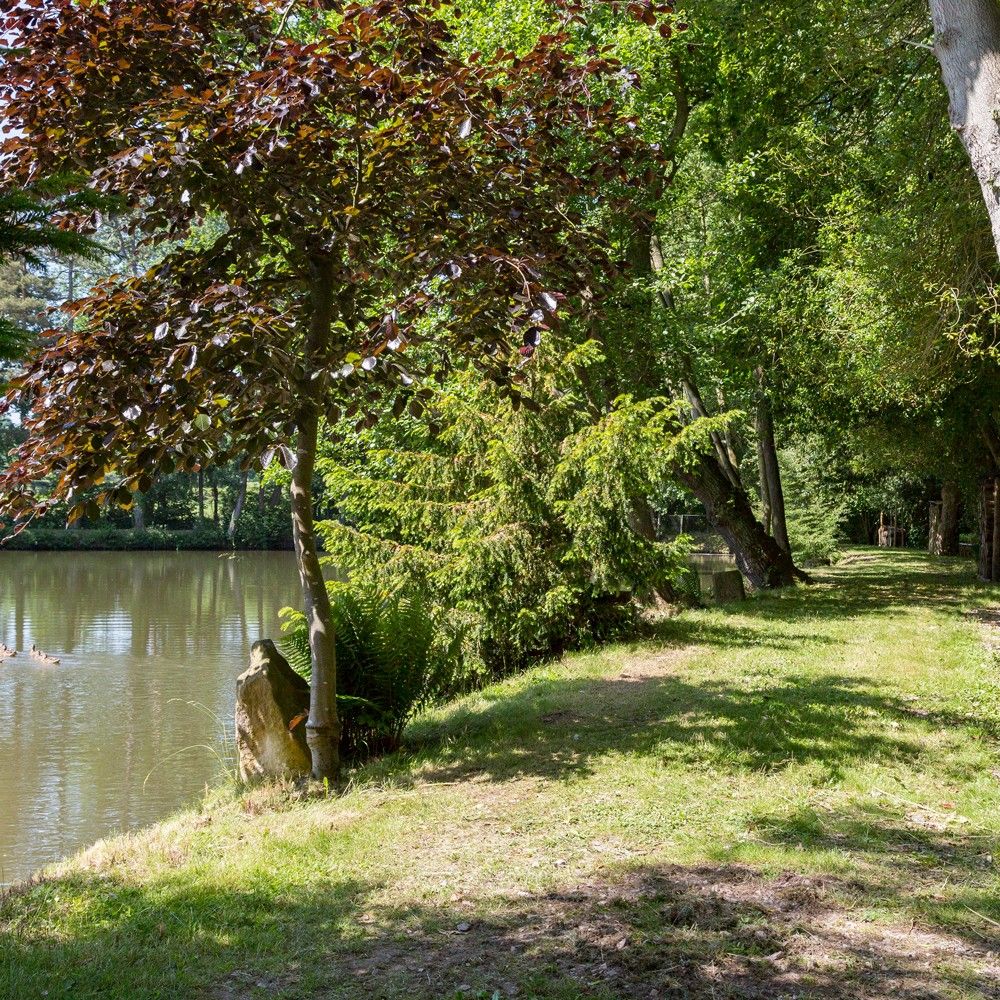 Take a tour of Darley Mill – an idyllic country house in the West ...