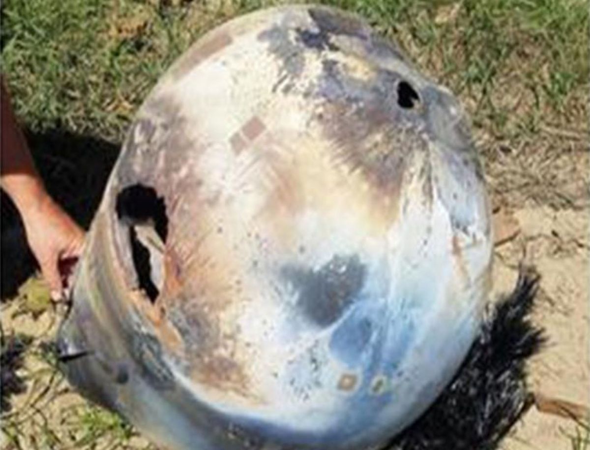 This Hunk of Metal Fell From Space and Landed in California | Space