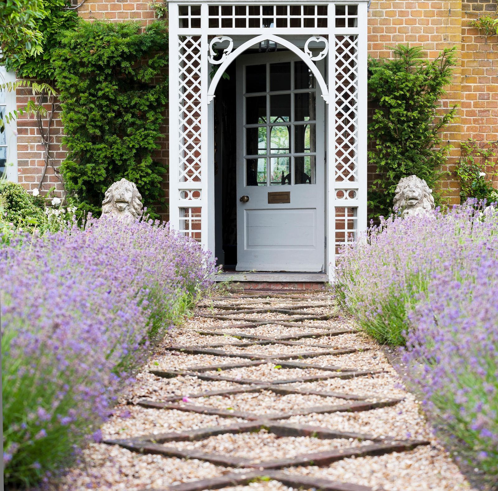 5 plants to display on your doorstep to elevate your front door | Livingetc