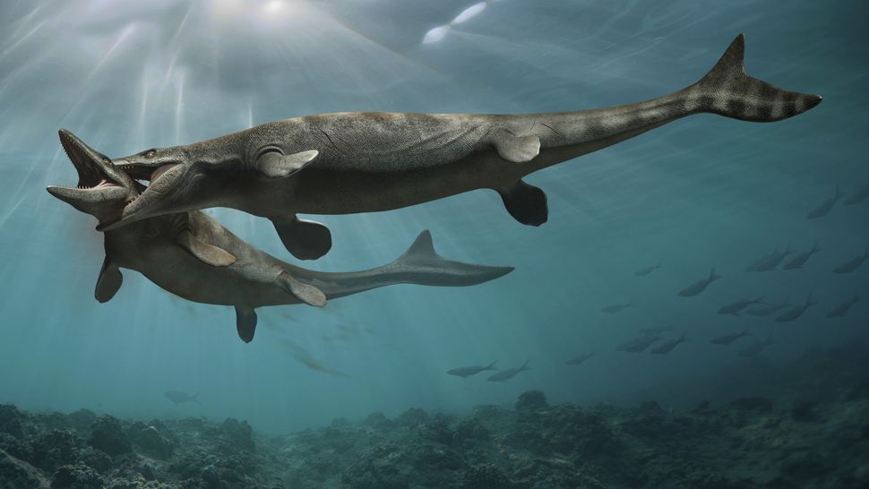 25 of the strangest ancient sea monsters | Live Science