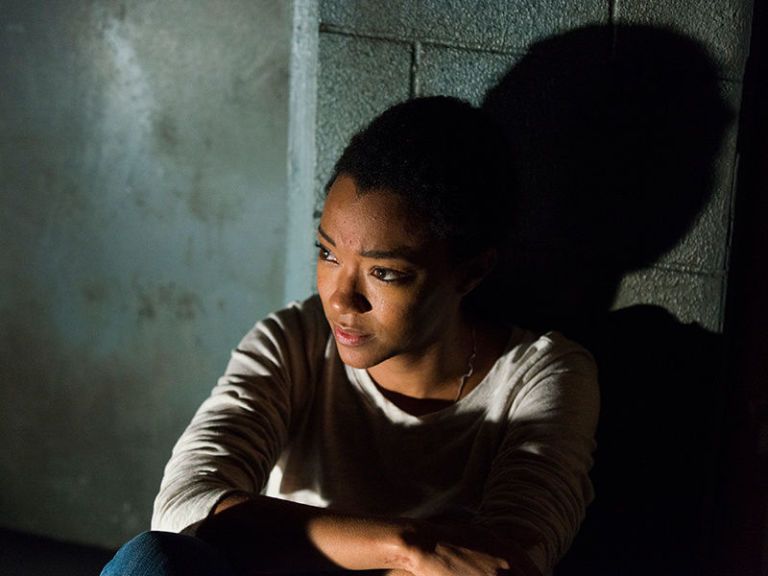 New The Walking Dead season 7 image reveals Sasha’s fate (SPOILERS ...