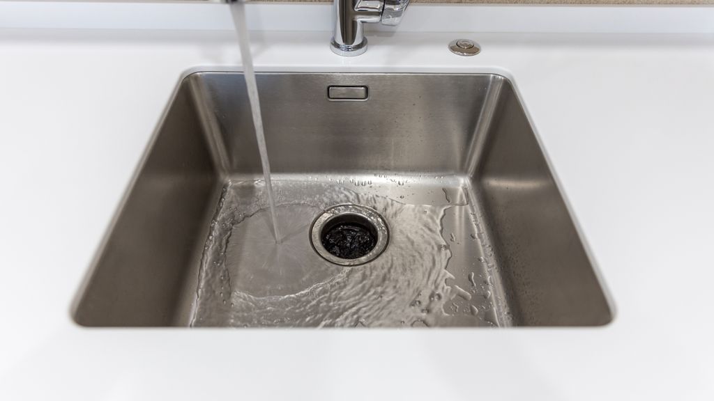 How to get rid of drain flies — follow these 7 steps | Tom's Guide