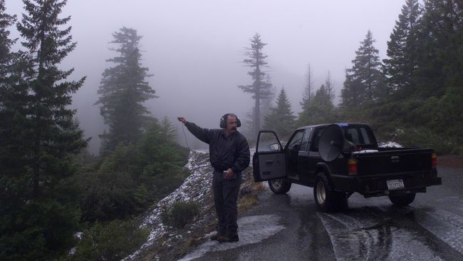 Is Bigfoot real? Everything you need to know about the Sasquatch | Live ...