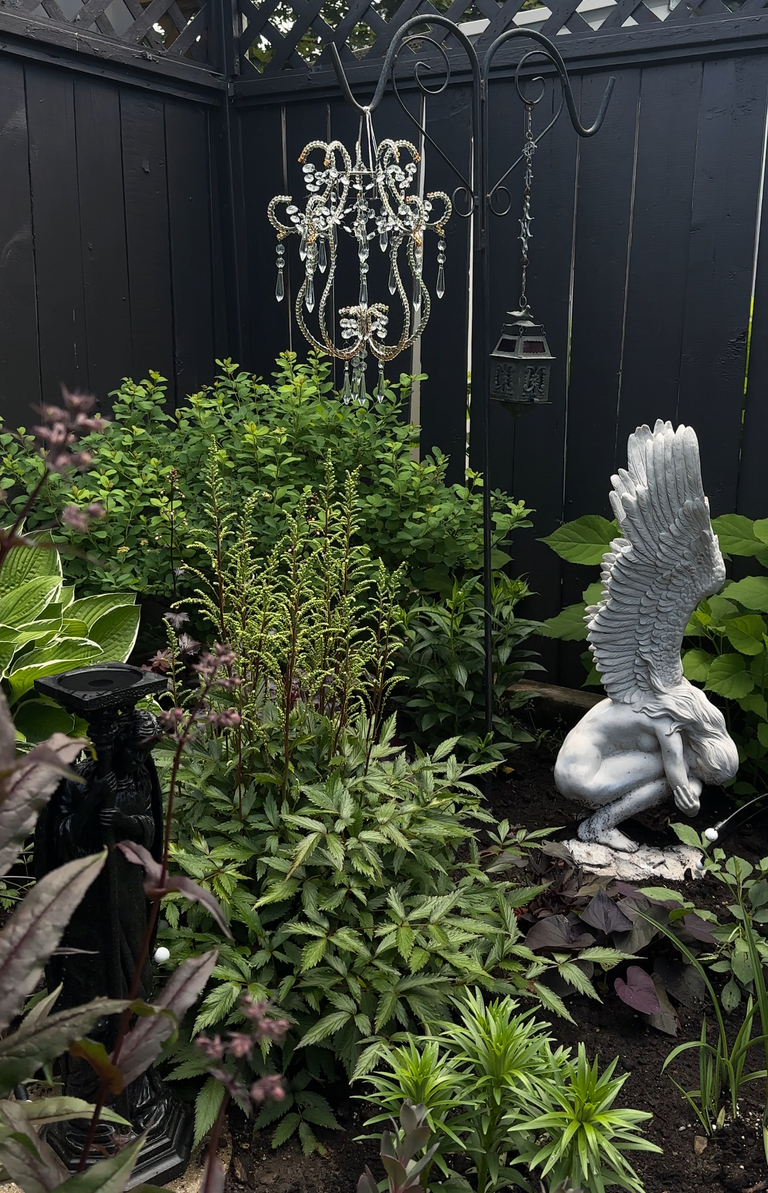 "Goth Gardens" Are the Planting Trend Getting Time in the Sun | Livingetc