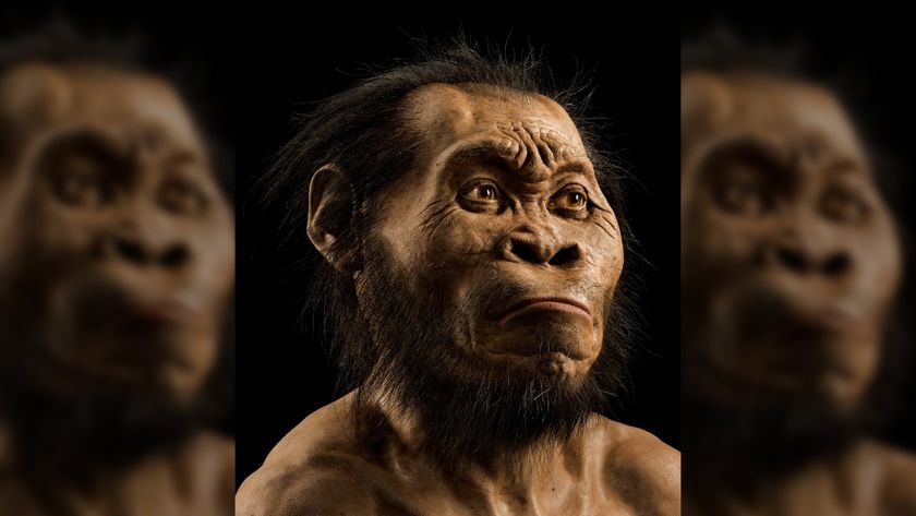 Weathered face of 'old man' Neanderthal comes to life in amazing new ...