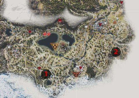 All Days Gone Ambush Camp locations | PC Gamer
