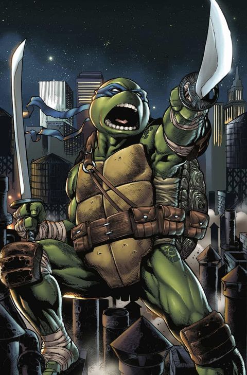 Teenage Mutant Ninja Turtles, heroes in a half shell, have died at 38 ...